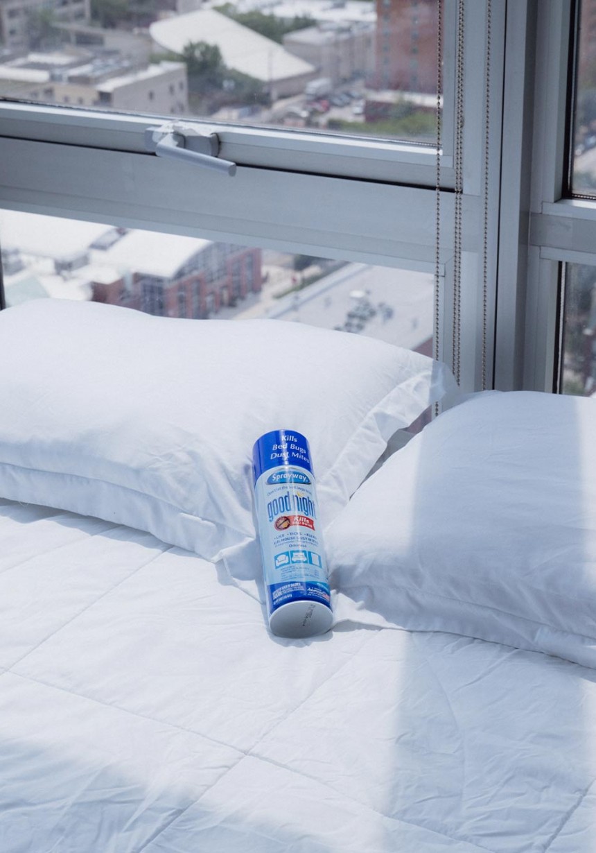 Bed Bug Oderless Spray - Sprayway Good Night Spray